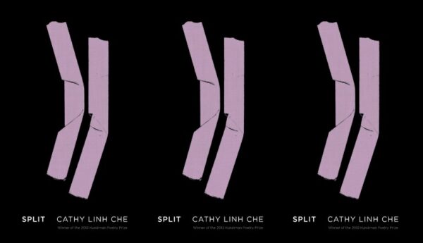 Interview With Poet Cathy Linh Che - Ploughshares