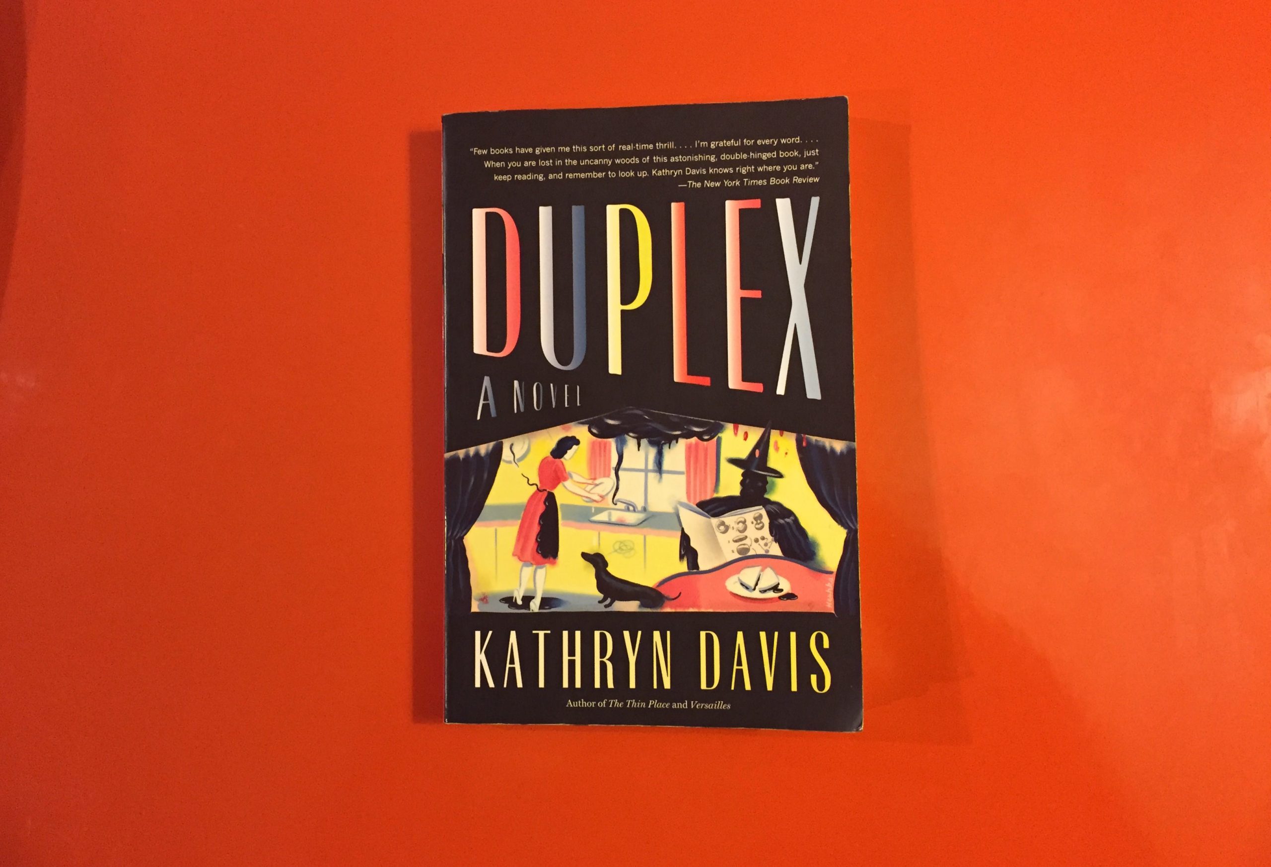 Origin Stories: Kathryn Davis’s DUPLEX - Ploughshares