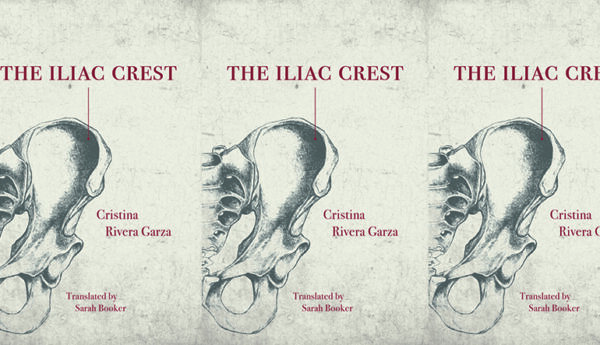 The Iliac Crest Archives - Ploughshares