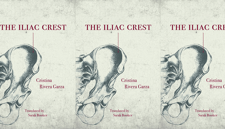 Disappearing Distinctions in Cristina Rivera Garza's The Iliac Crest ...