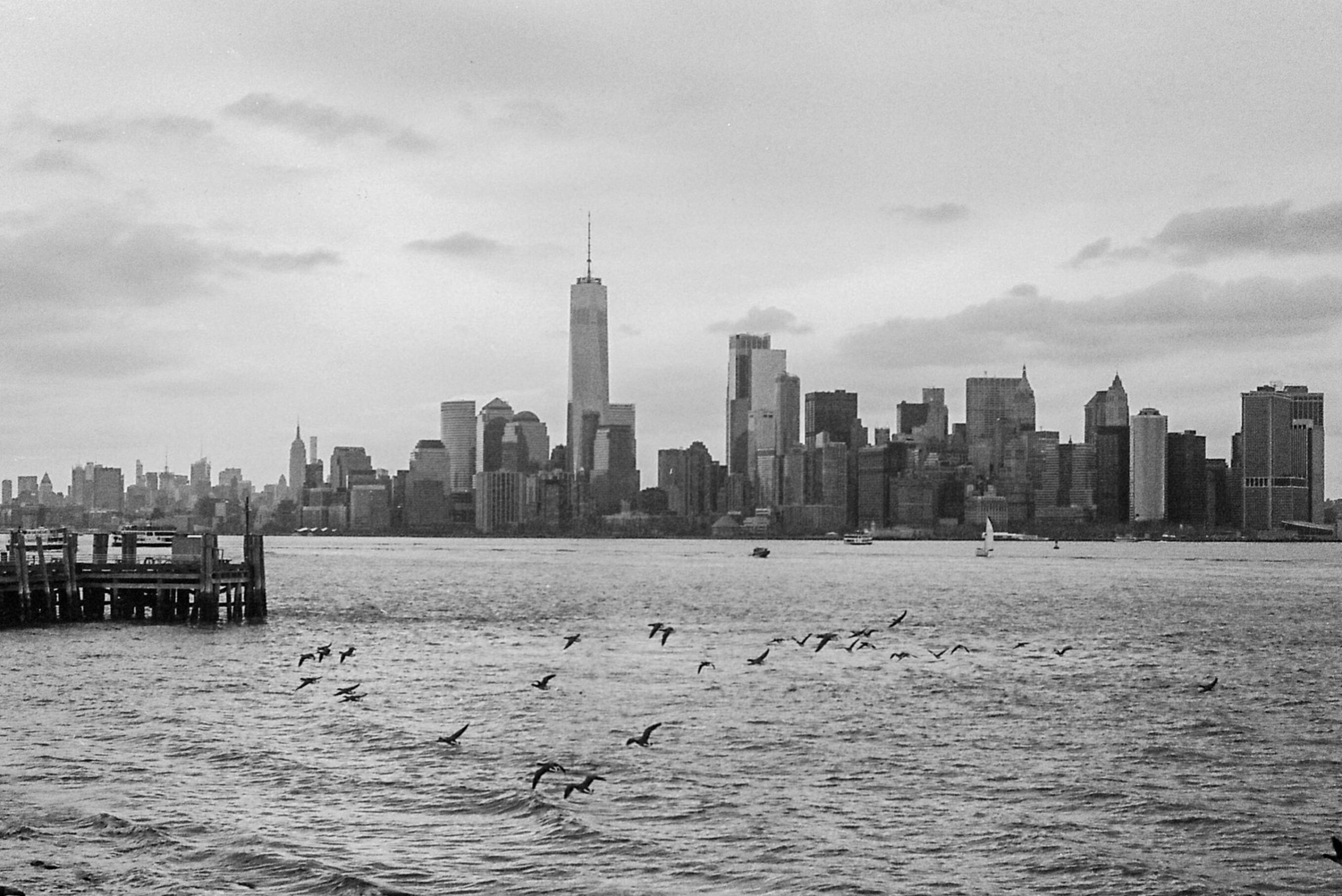 An Artist’s Journey in The American Painter Emma Dial - Ploughshares