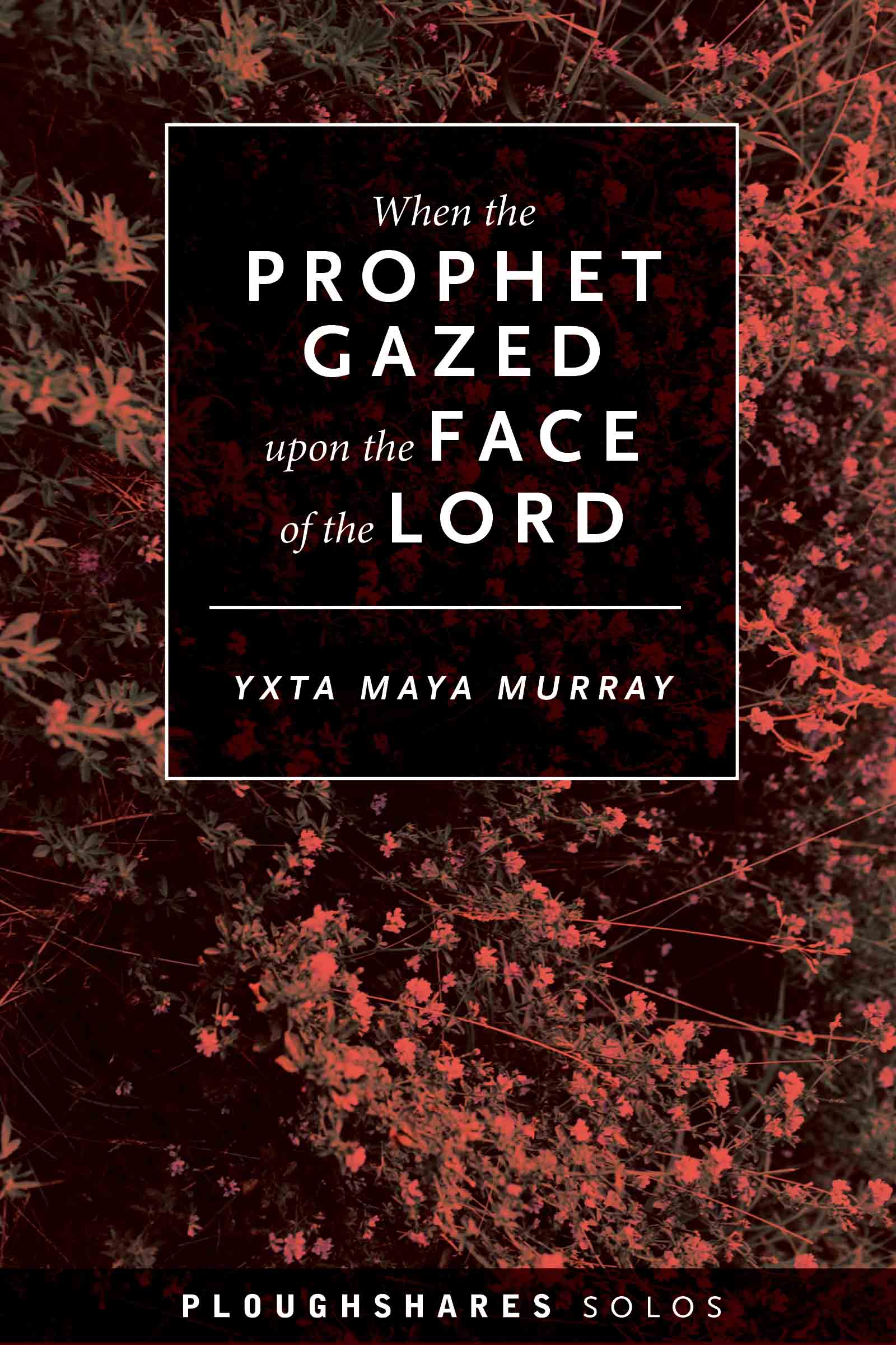 When the Prophet Gazed upon the Face of the Lord - Ploughshares